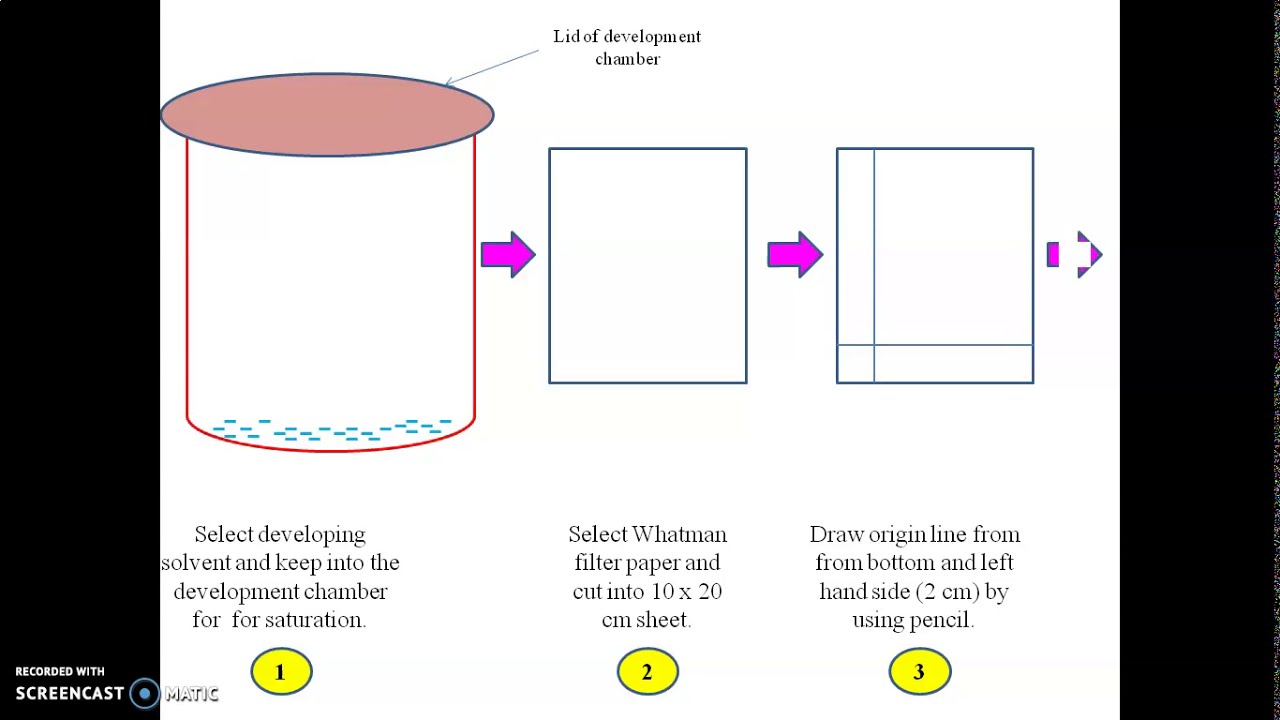 SEPARATION OF AMINO ACID MIXTURE BY TWO DIMENTIONAL PAPER ...