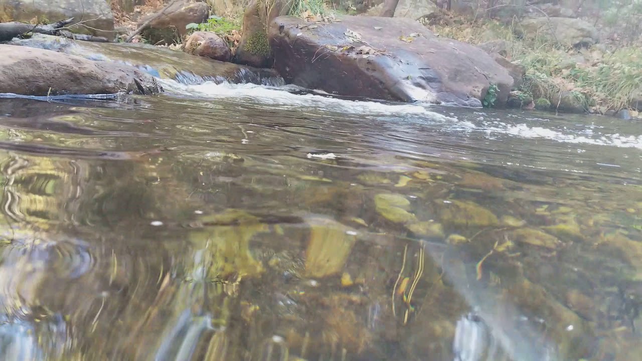 fish Horton Creek Payson Arizona - YouTube
