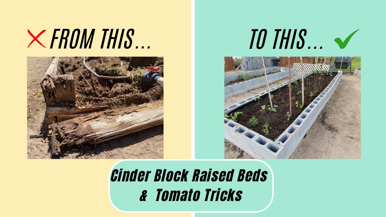 Raised Bed Garden Upgrade with Cinder Blocks + 3 Genius Ways to Plant ...