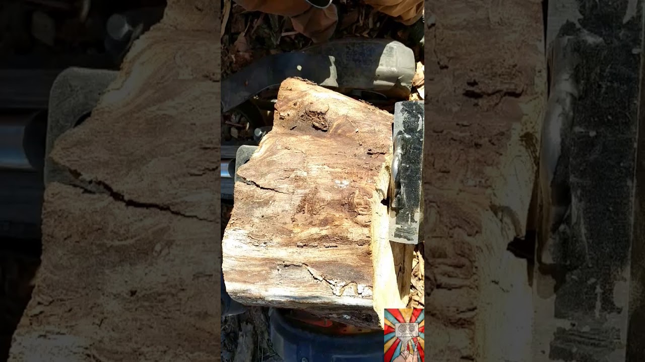 robot lumberjack love - YouTube