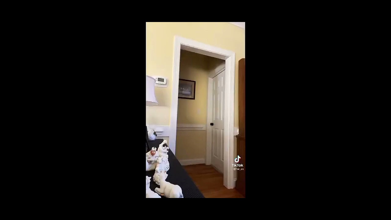 (WARNING ON LOUD) ruby gillman gets RAGE at everyone - YouTube