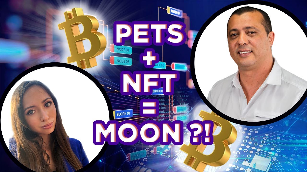 Crypto news, Pawtocol NFT to the moon?! Karim Quazzani interview - YouTube
