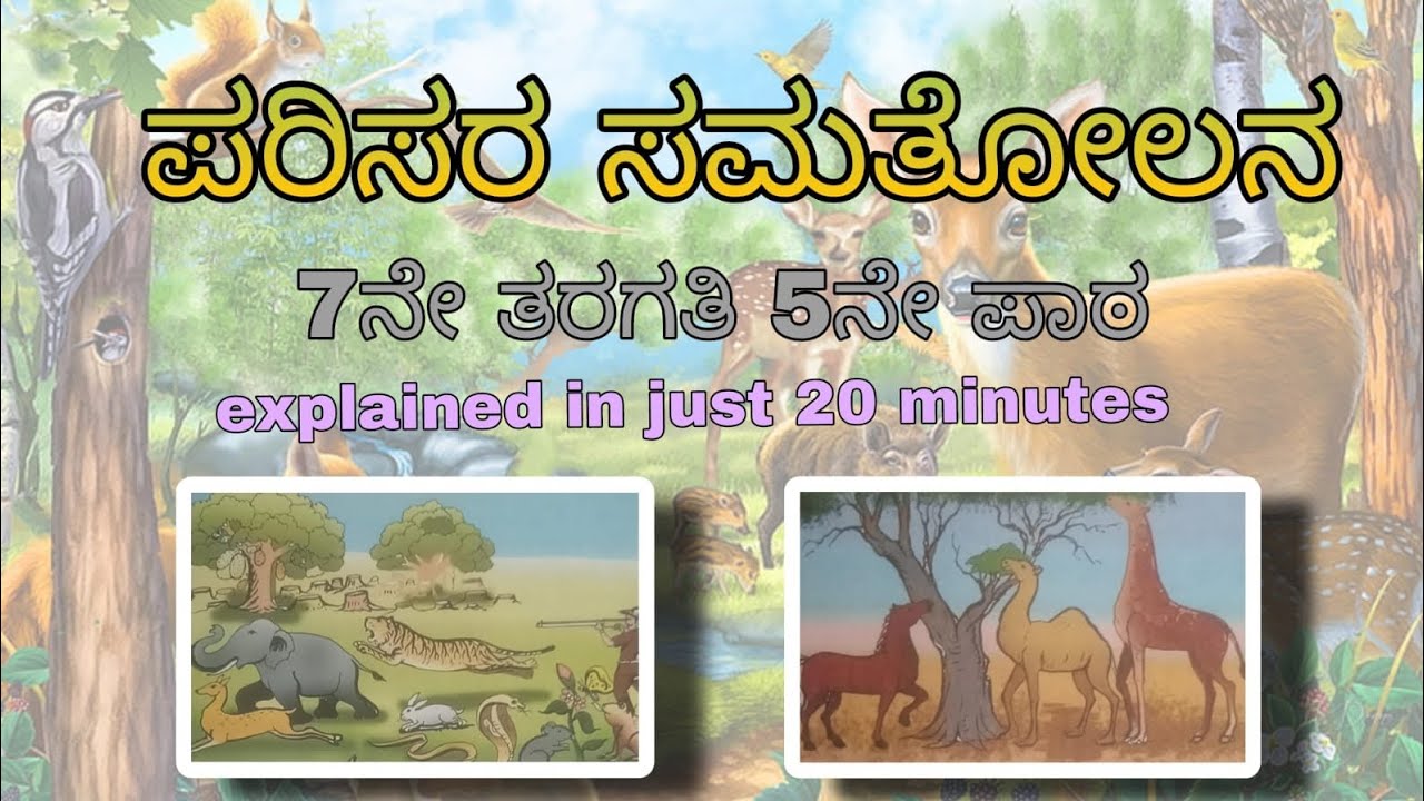 ಪರಿಸರ ಸಮತೋಲನ 7ನೇ ತರಗತಿ 5ನೇ ಪಾಠ | parisara samatholana 7th std 5th ...