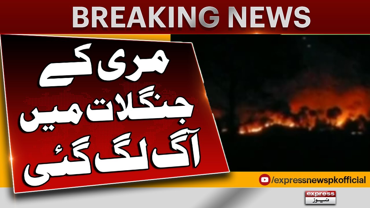 Fire Breaks out in 3 Forests Adjacent to Malka-e-kohsar Murree ...