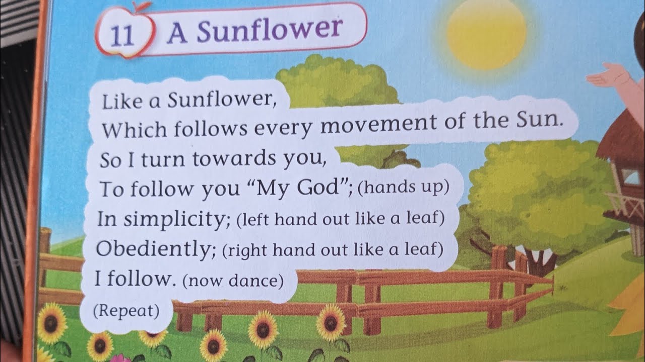 A SUNFLOWER🌻 POEM #poem #poetry #jrkg #learning @farhanaamairaKhan ...