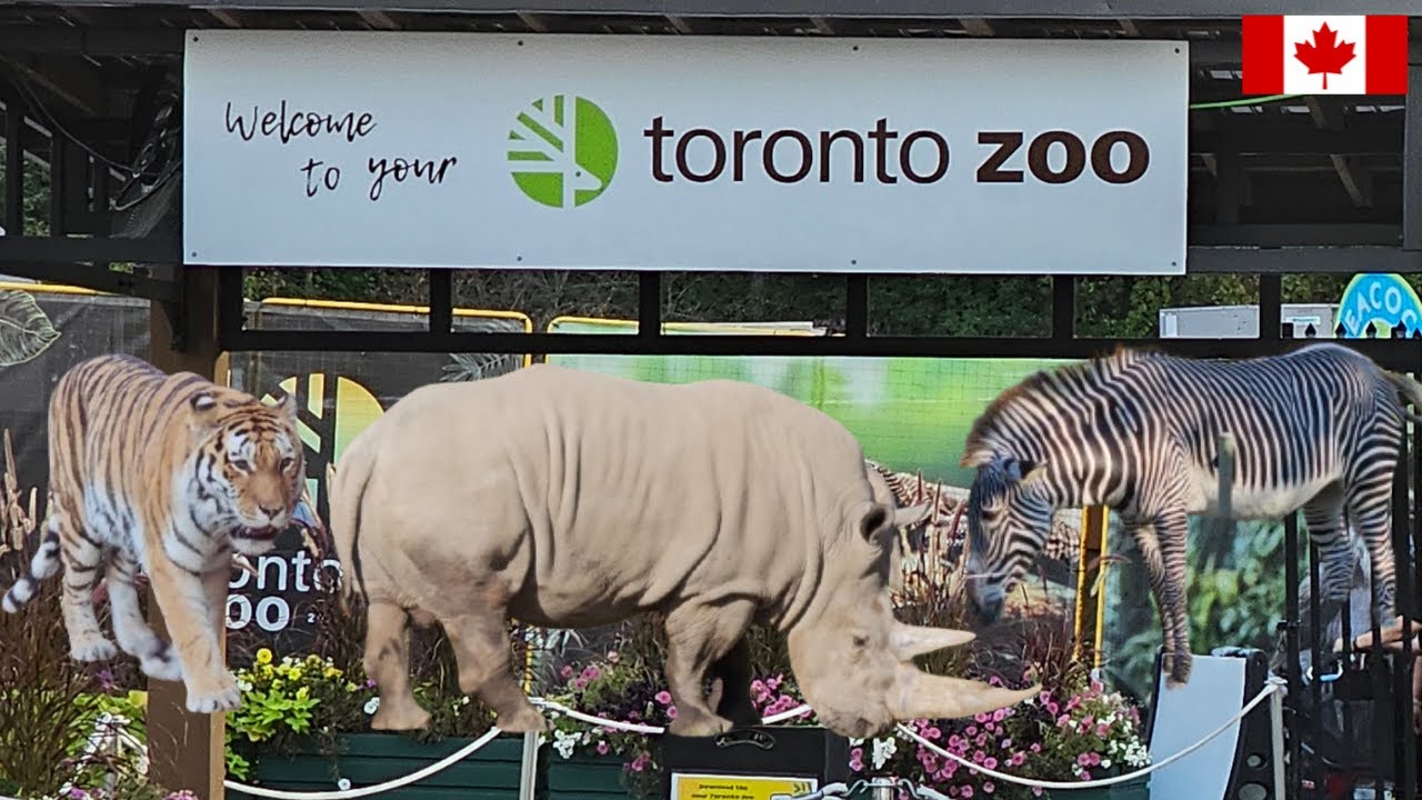 Toronto Zoo | The Largest Zoo In Canada - YouTube