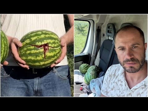 Cum a aflat Grigore Manoli cine i-a distrus harbujii