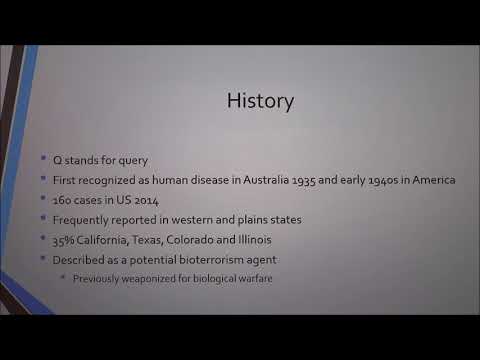 Q Fever in Large Animals