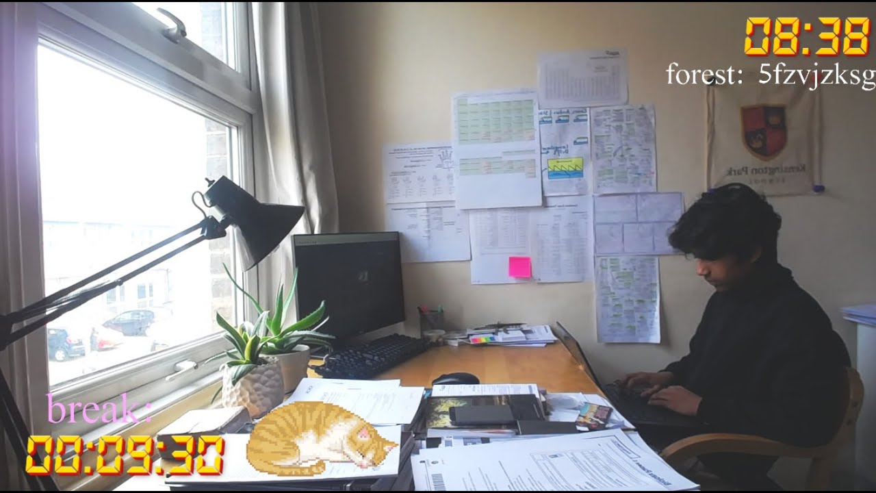 Study With Me Live Pomodoro 12 Hour 03 Days To Go Till GCSE s study-with-me-live-pomodoro-12-hour-03-days-to-go-till-gcse-s