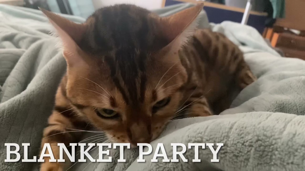 Blanket Party - YouTube
