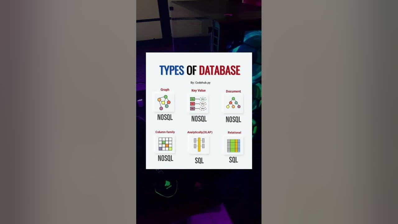 Types Of Database Shorts Tech Coding Programming Webdeveloper