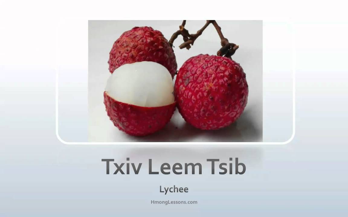 Hmong Vocabulary 101 Lesson 3 - YouTube