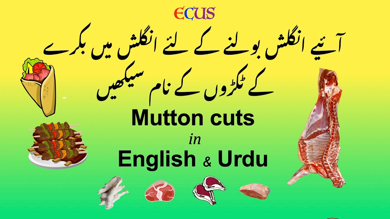 Learn cuts of Mutton in Urdu & English- بکرے کے گوشت کے ٹکڑوں کے نام ...