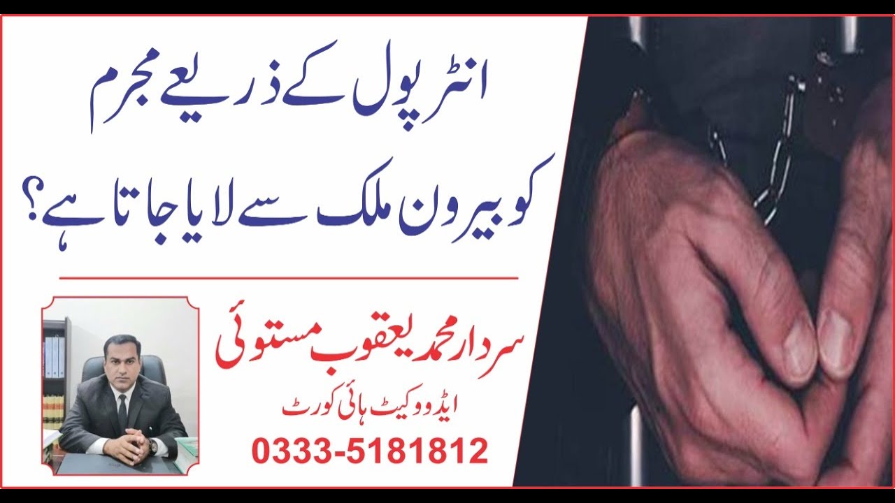 What Is Interpol? | Law of Interpol | Function & Process of Interpol ...