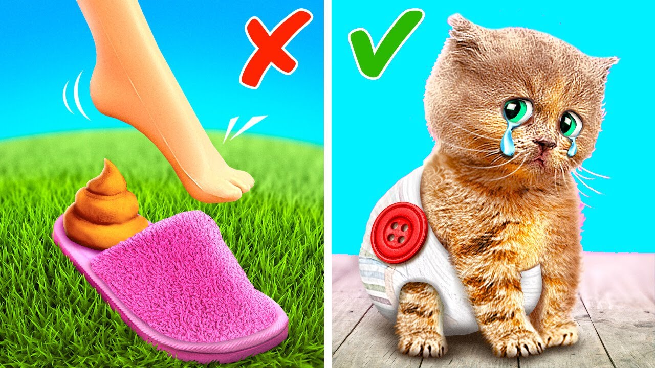 Oh No! How To Save This Kitten?! 🙀 *Crazy Pets Rescue* - YouTube