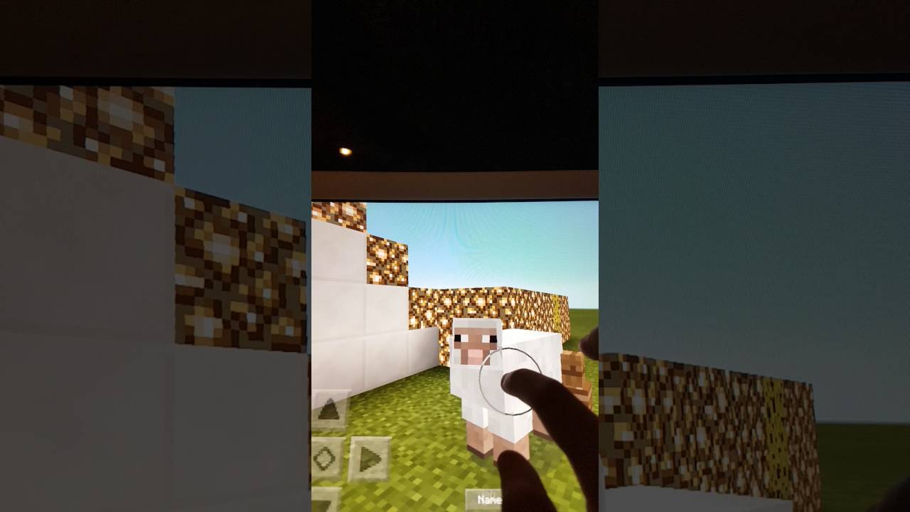 Sheep Glitch Minecraft - YouTube