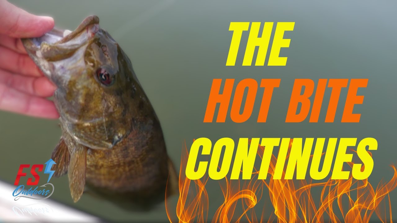 Smallmouth Bass Slay Day Part 2 (Ohio River Fishing) - YouTube