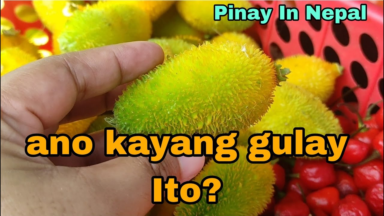 aba busy sila maglinis Ng daanan+ ano kayang gulay to? - YouTube