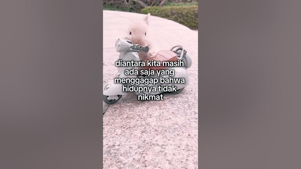 CARA BERSIKAP - Nikmati dan syukuri Hidup Mu #motivasi #motivation - YouTube