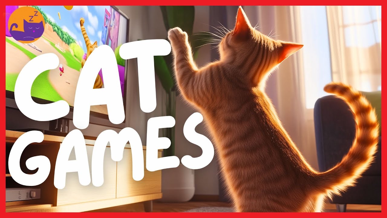 GAMES FOR CATS - Interactive Hunting Games for Bored Cats - HANDS FREE ...