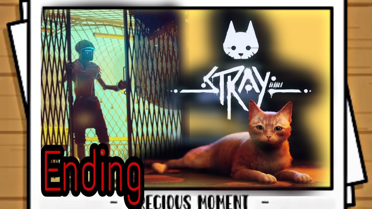 STRAY ENDING / FINAL CHAPTER - PS5Walkthrough Gameplay - YouTube