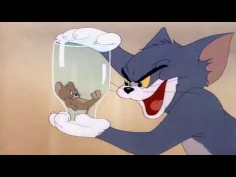 Tom And Jerry English Episodes Milky Waif Cartoons For Kids - YouTube