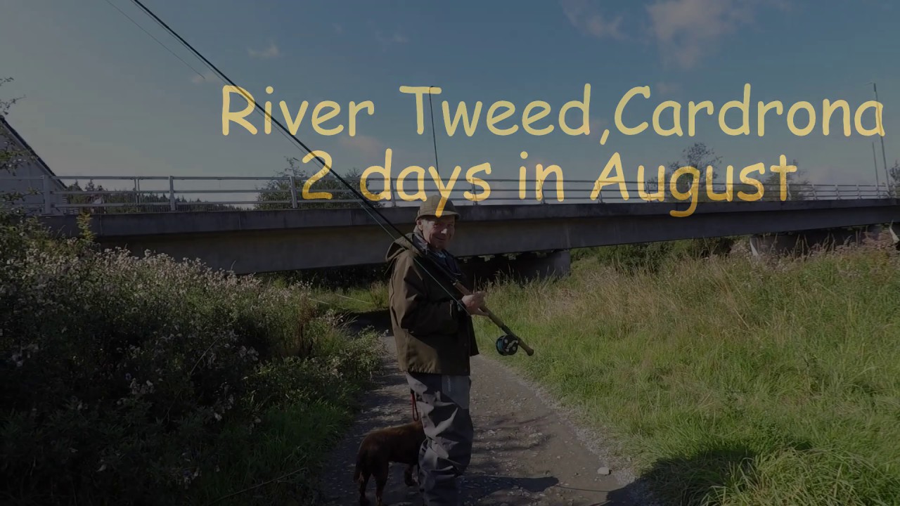 River Tweed,Cardrona, 2 Days in August - YouTube