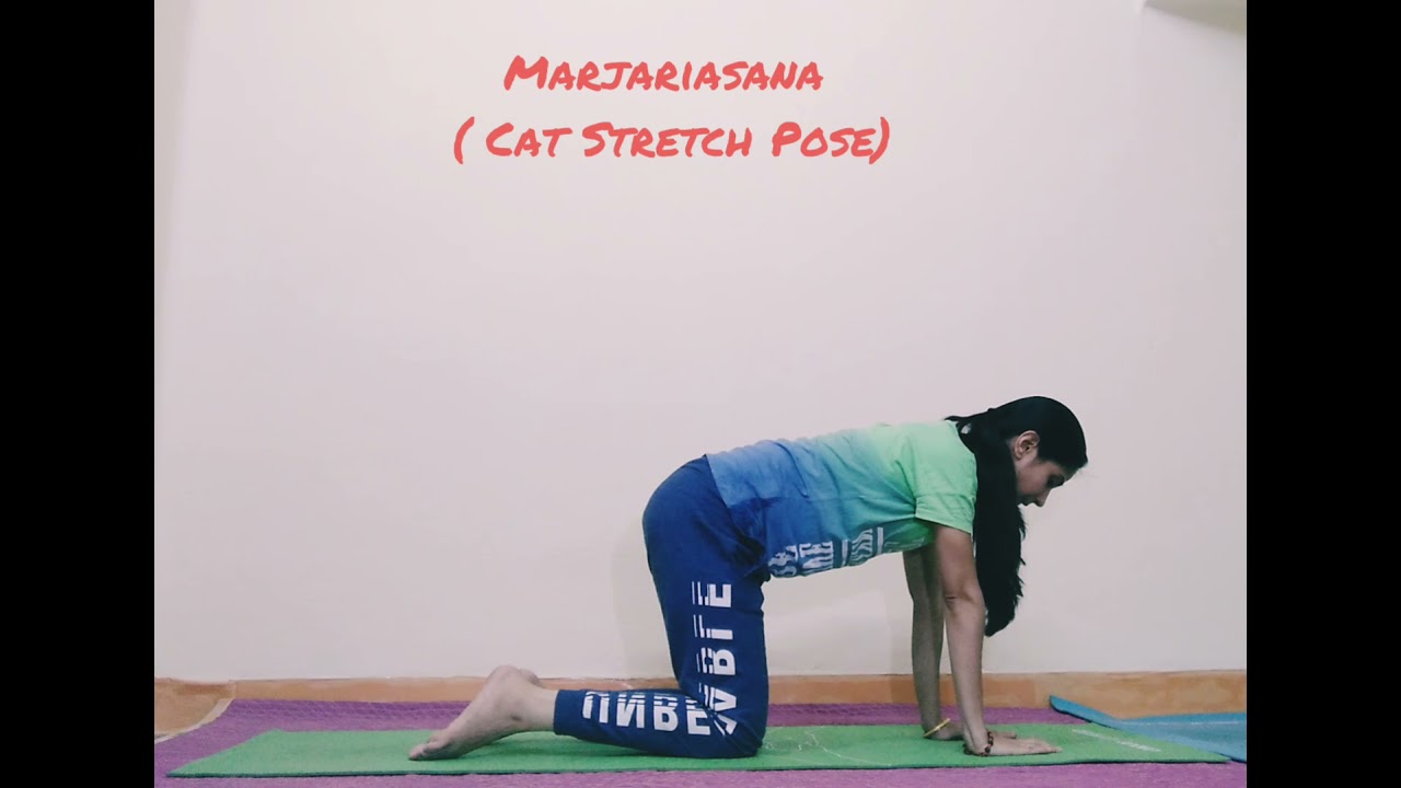 MARJARIASANA (CAT STRETCH POSE) - YouTube