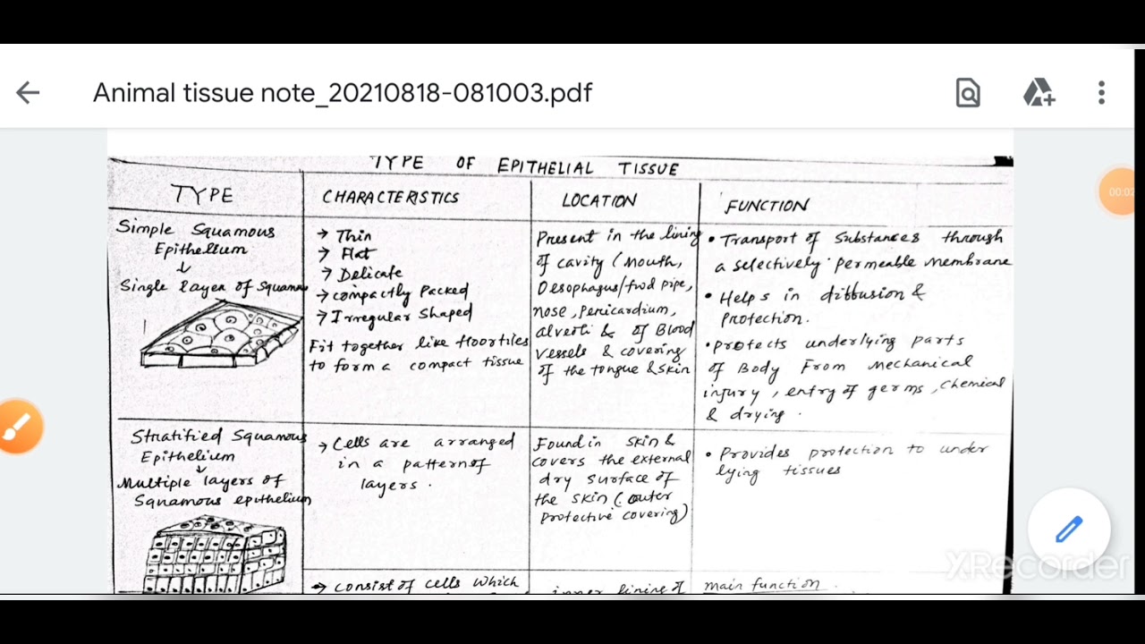Animal tissue (Part 2)Epithelial tissue CLASS 9, CBSE BOARD,S CHAND ...