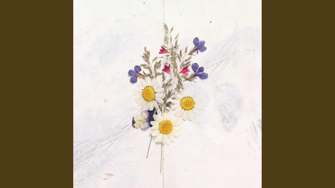 Daisy - YouTube Music