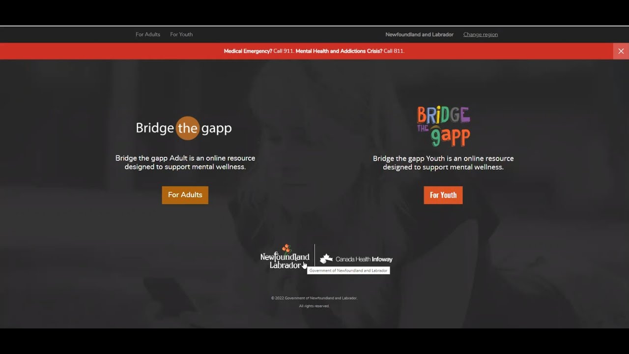 Bridge the gapp site demonstration - YouTube