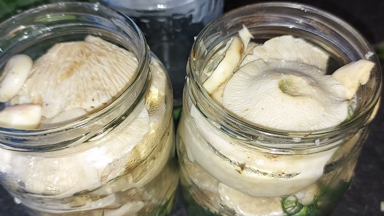 Bureti iuti la borcan - YouTube