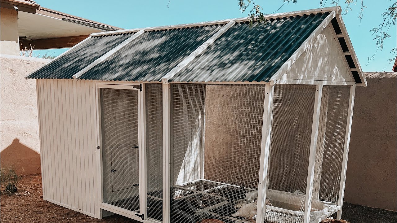 Zylina modern duck barn tour! - YouTube