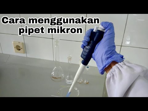Cara menggunakan pipet mikron - YouTube