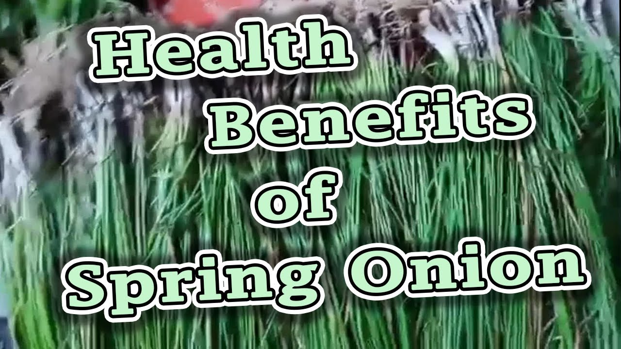 Mga Benepisyo ng Spring Onion (Benefits of Spring Onion) - Farm Vlog #6 ...
