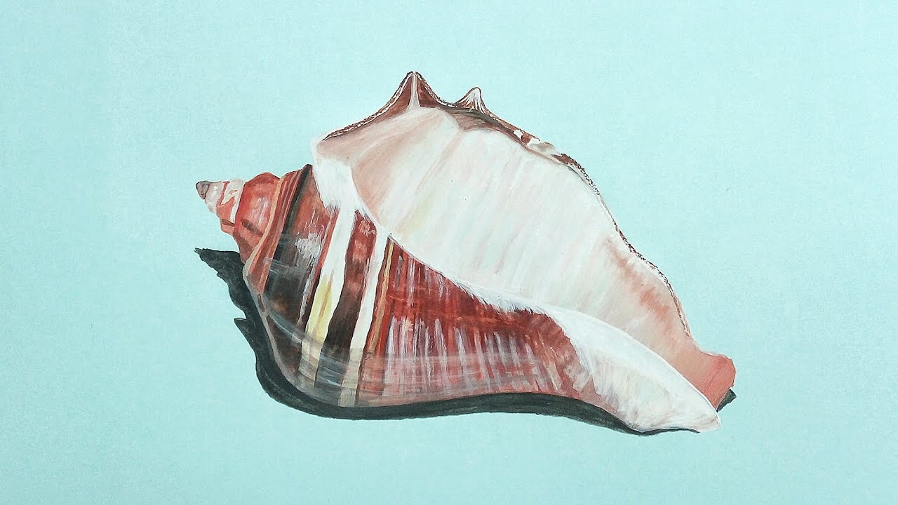 Realistic Conch (Shankh) Drawing - YouTube