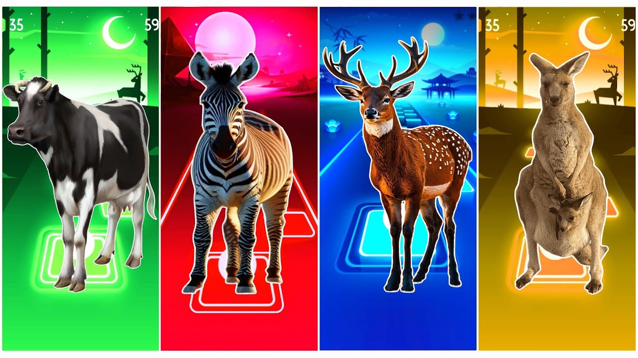 Funny Cow 🆚 Funny Zebra 🆚 Funny Peindar 🆚 Funny Kangaroo 🆚 Tiles Hop EDM RUSH🔥 ️🎶🎵 - YouTube