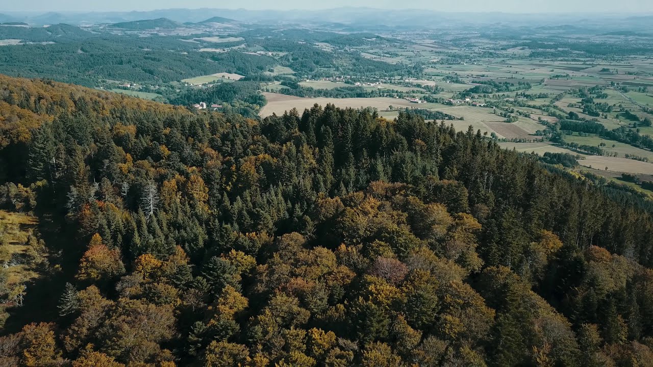 Tourbière du mont Bar en automne 3 - YouTube