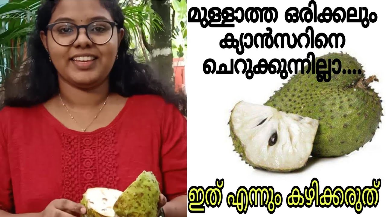 മുള്ളാത്തയുടെ ഗുണങ്ങളും ദോഷഫലങ്ങളും അറിഞ്ഞിരിക്കൂ/ Mullatha/ Mullan ...