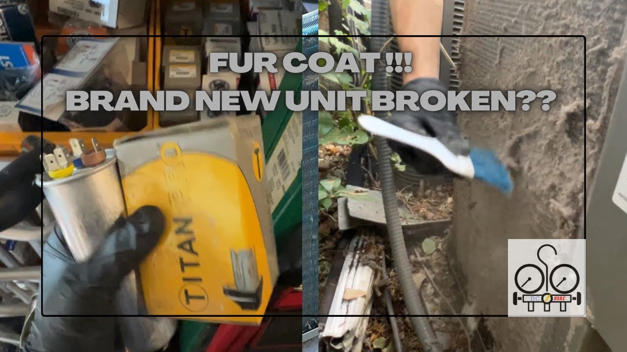Friday Service Calls! Brand New Carrier Broken??? Insane Fur Coat ...