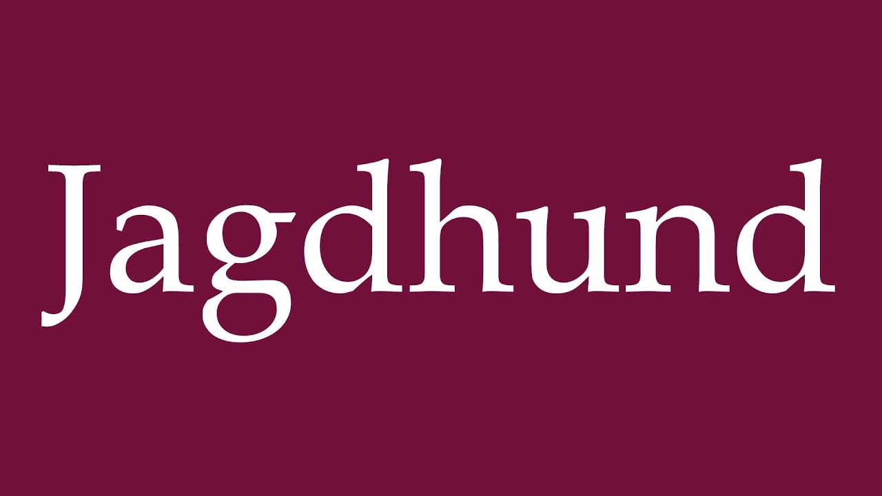 How to Pronounce ''Jagdhund'' (Hunting dog) Correctly in German - YouTube