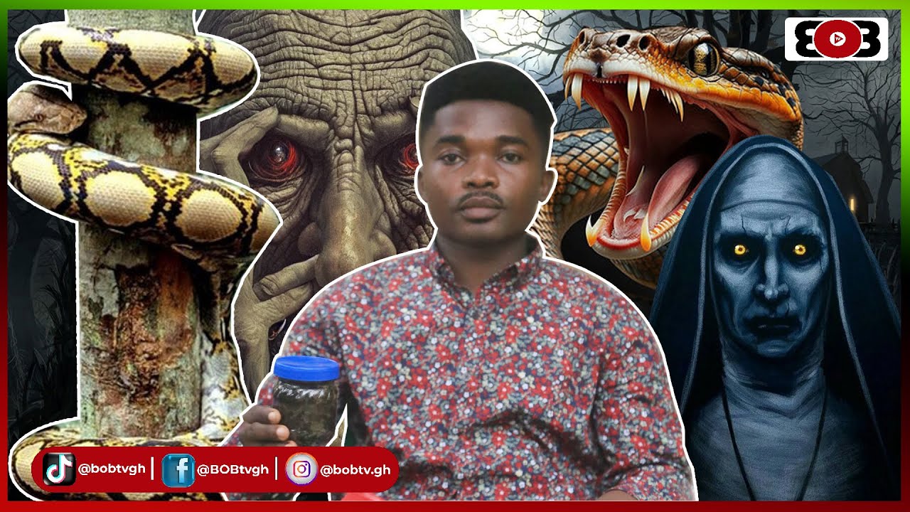 STRANGE: An old man came from the mouth of a giant Python under onyina ...