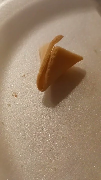 Fortune cookie - YouTube