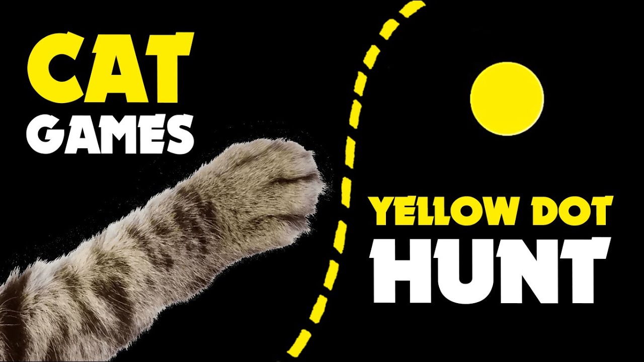 CAT GAMES ★ YELLOW DOT HUNT on screen - YouTube