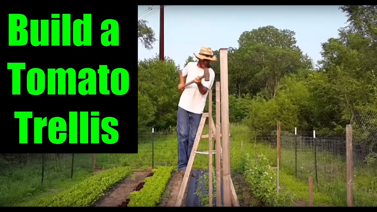 Building Tomato Trellis - YouTube