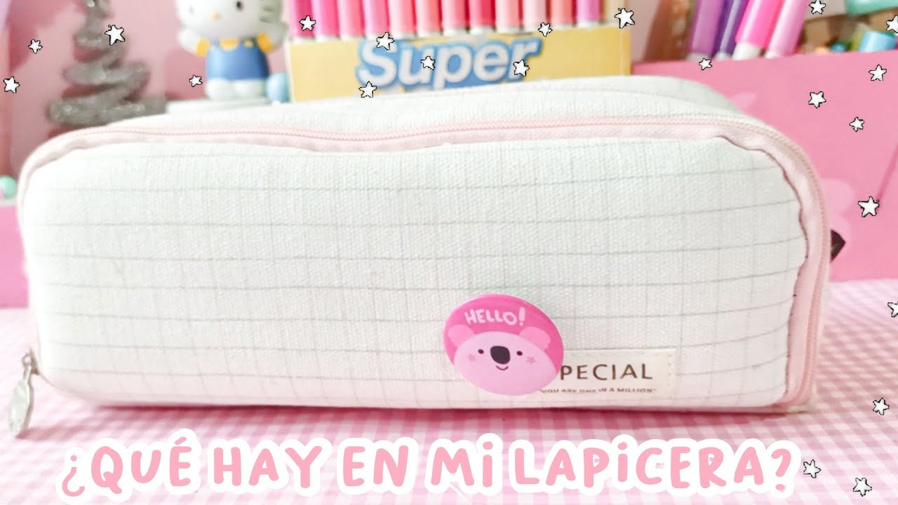 ¿Qué hay en mi lapicera? (para hacer apuntes bonitos)🌷💞🦔 - YouTube