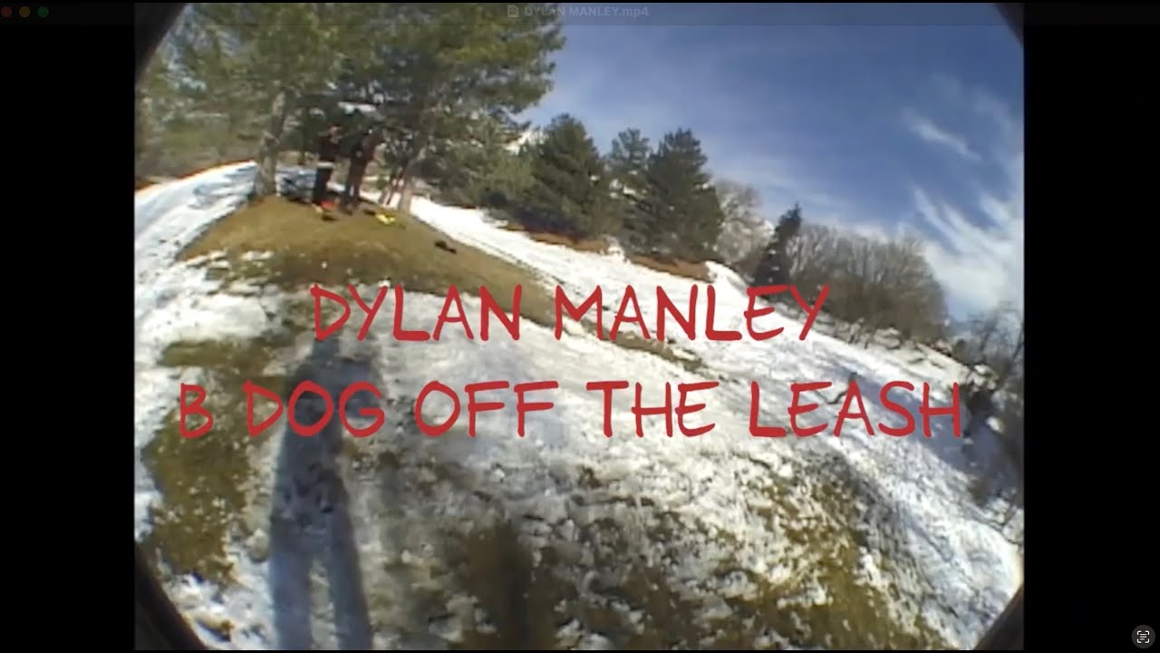 Dylan Manley - Off The Leash Video Edition (2025) - YouTube