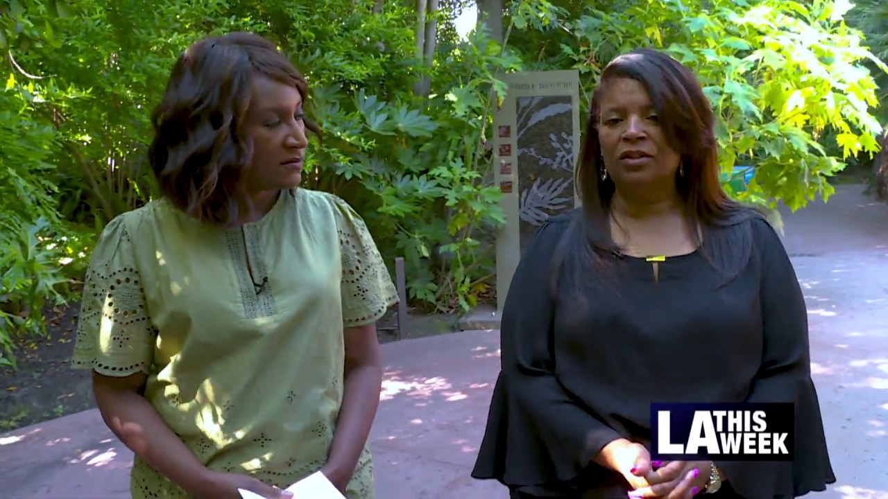 New LA Zoo Director Denise Verrett - YouTube