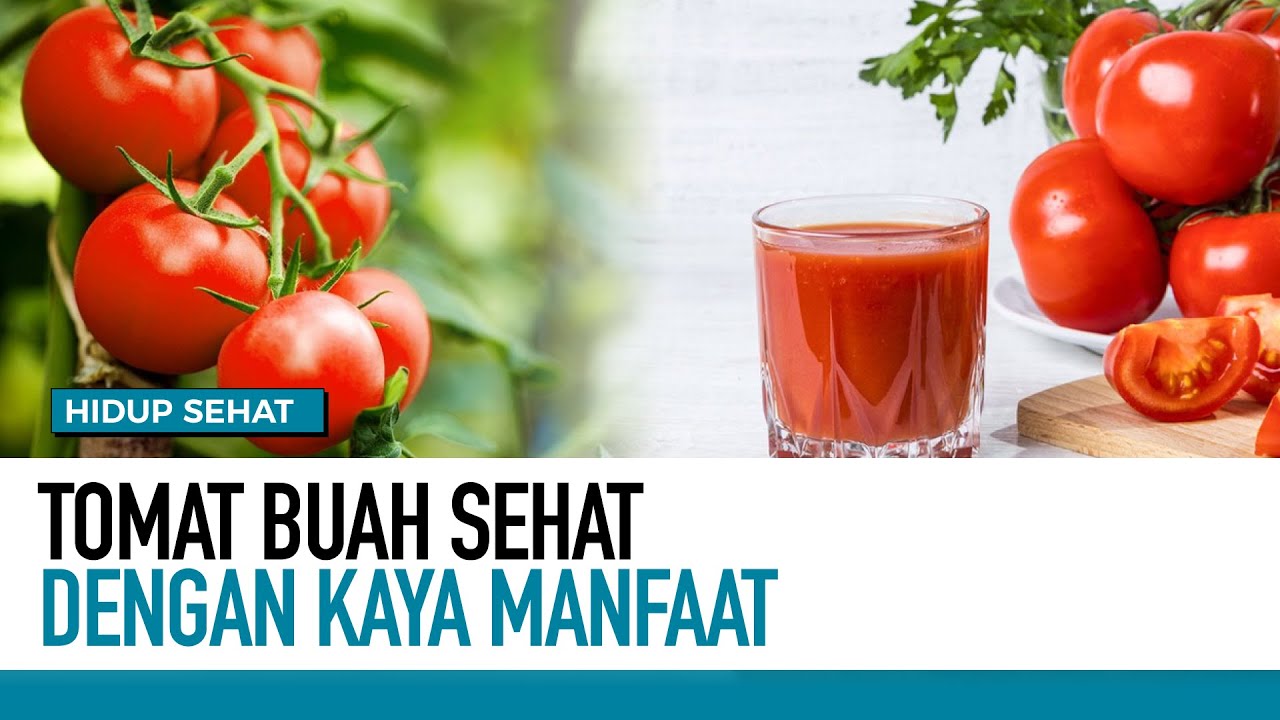 Jaga Kesehatan Tubuh, Ini 4 Manfaat Tomat Untuk Kebugaran | Hidup Sehat ...