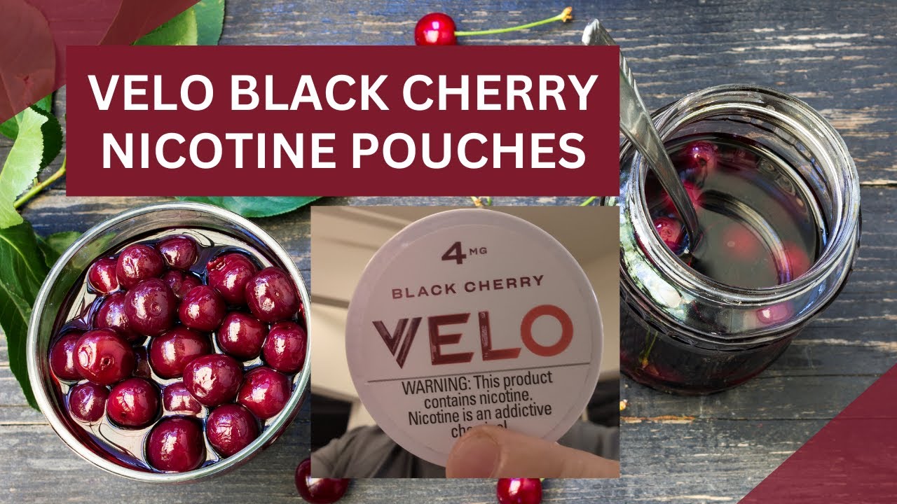 Velo Black Cherry 4mg Nicotine Pouches Review - YouTube